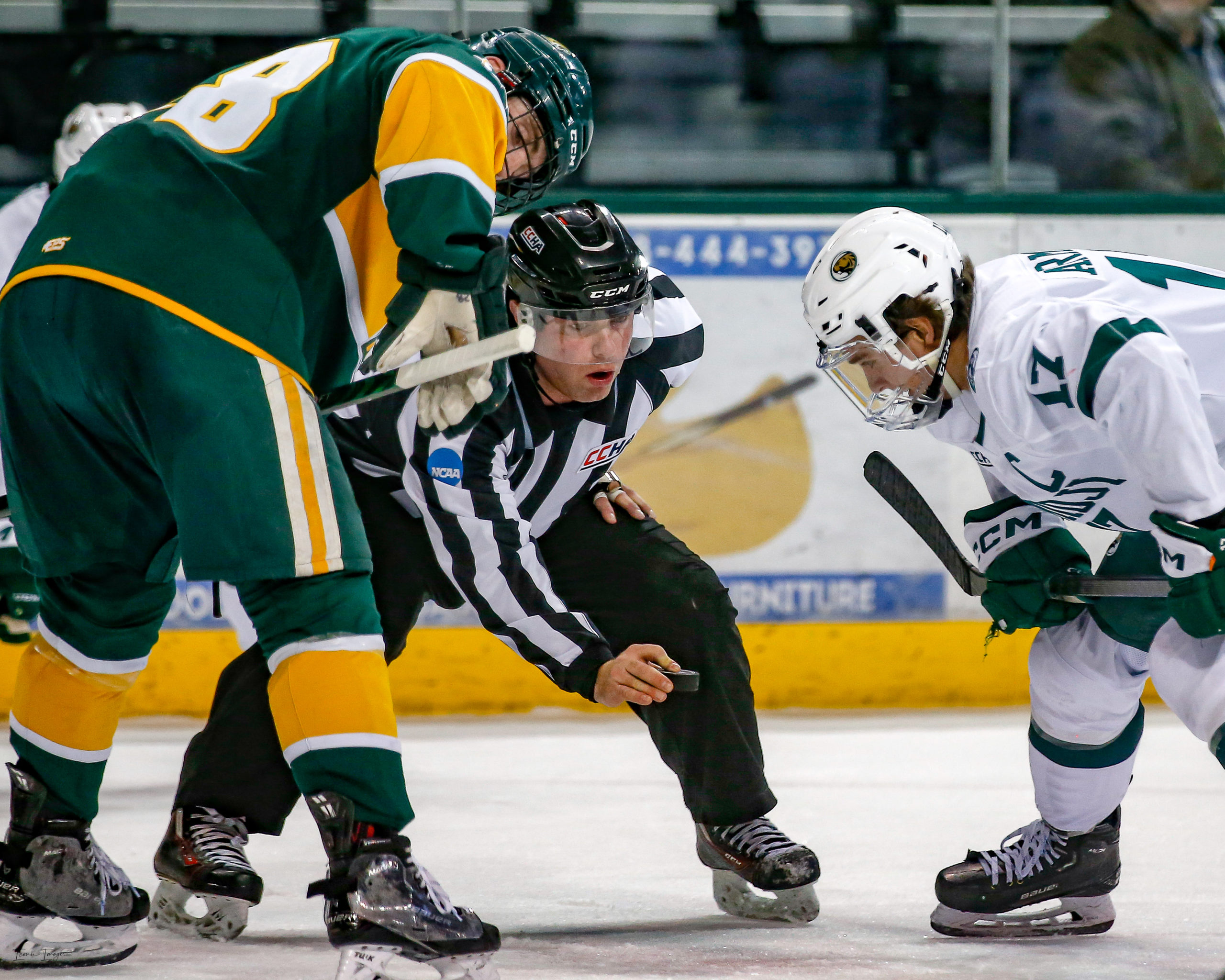 Beaver Men’s Hockey Gameday – Game 26 – January 28, 2023 – at Lake ...